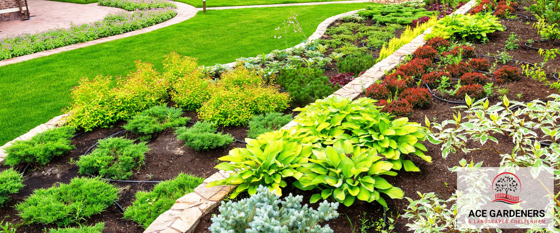 Low-Maintenance Landscaping: Easy-Care Plant Options UK | Ace Gardeners ...